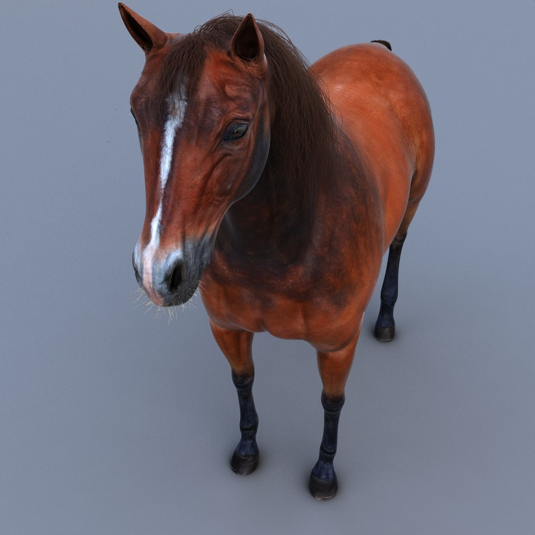 Ma Realistic Horse Rig