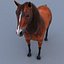 Ma Realistic Horse Rig