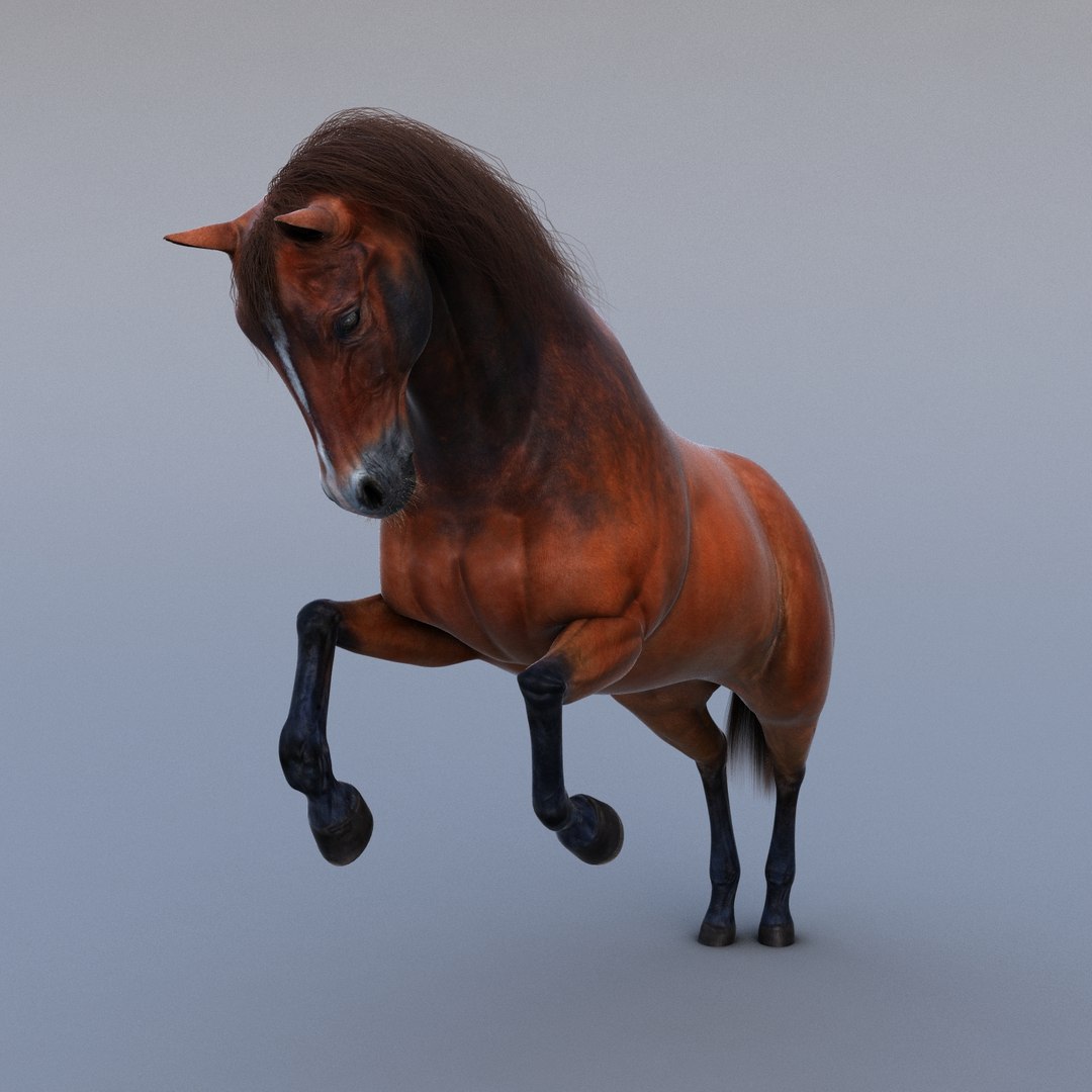 Ma Realistic Horse Rig