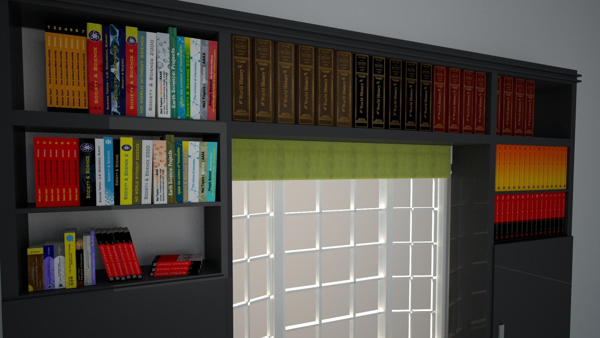 3d Bookcase Books
