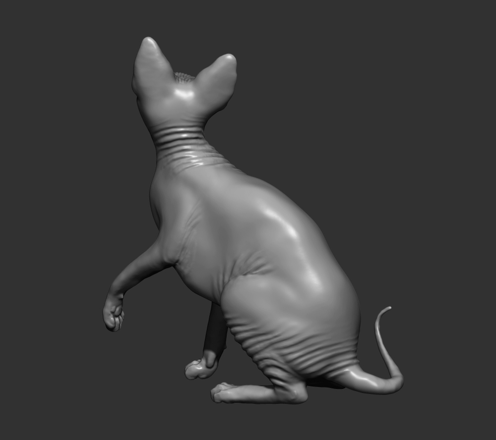 3d model cat sphinx
