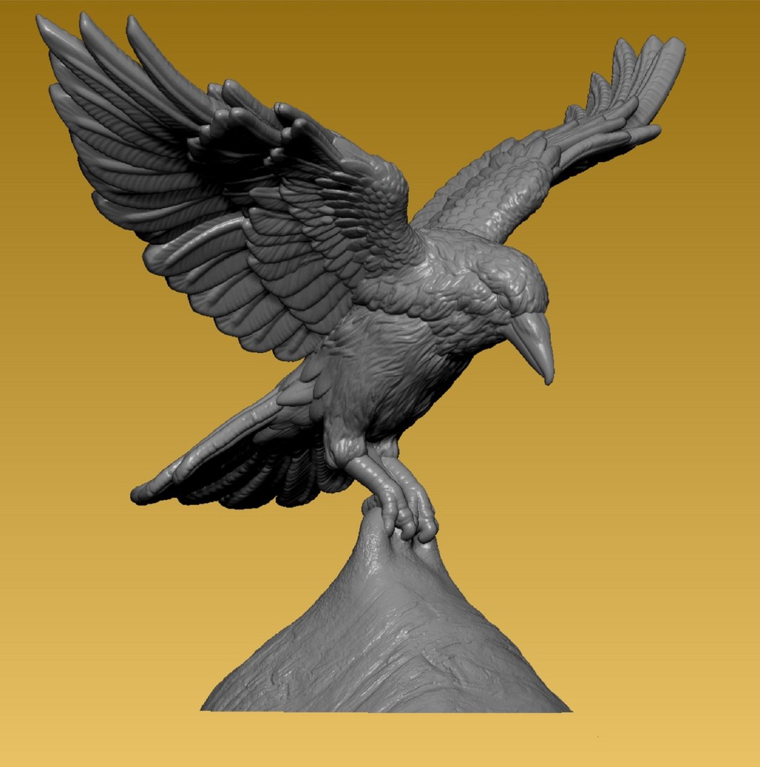 Crow 3D Model - TurboSquid 2383963