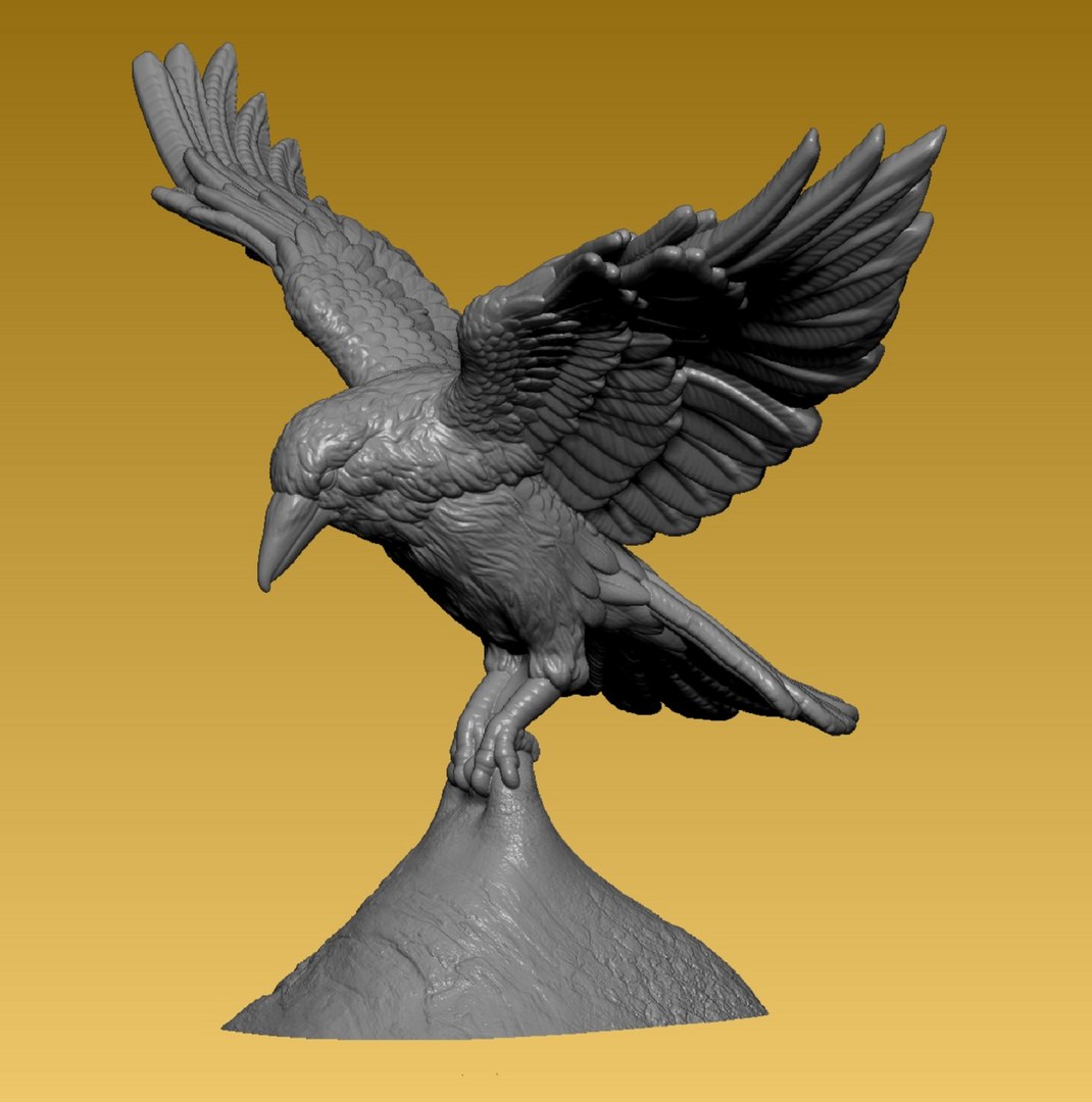 Crow 3D Model - TurboSquid 2383963