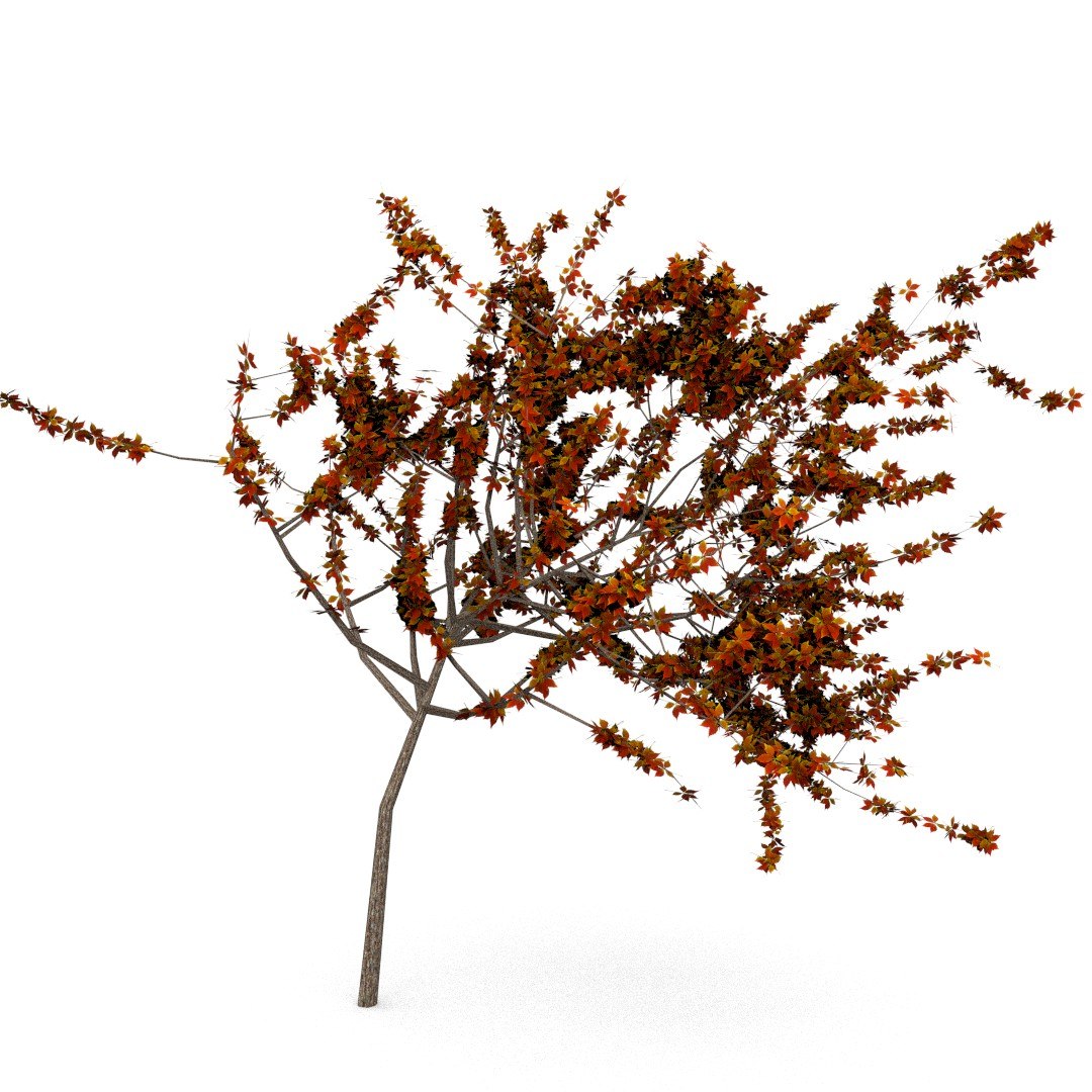 3d Model Tree Leaf