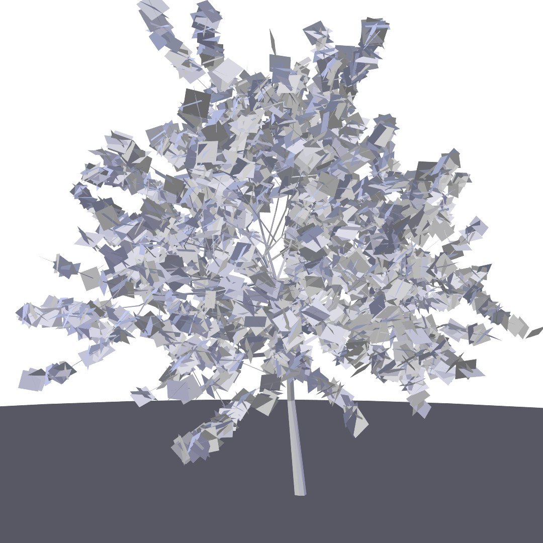 3d Model Tree Leaf