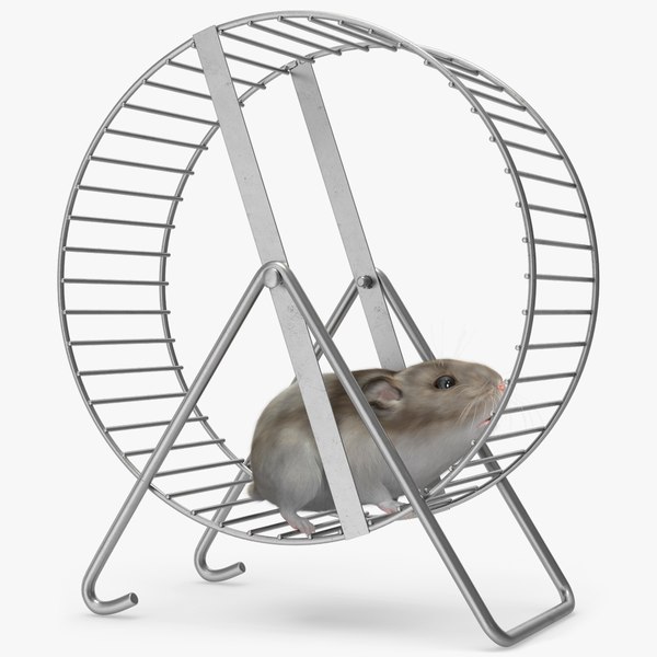 Roda de exercícios para animais de estimação com suporte e pelo de ...