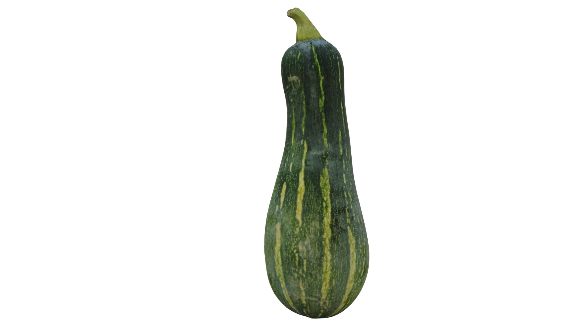 Squash Barbara Butternut 3D Model - TurboSquid 1903254