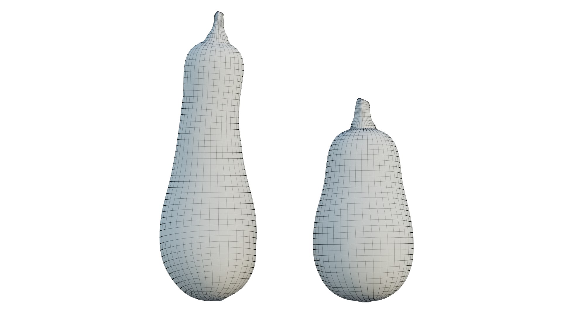 Squash Barbara Butternut 3D Model - TurboSquid 1903254