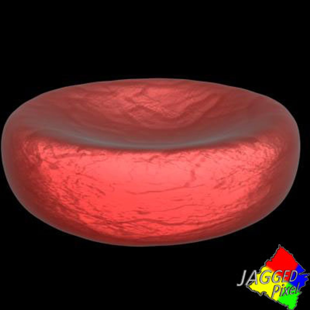 3d Red Blood Cell Model