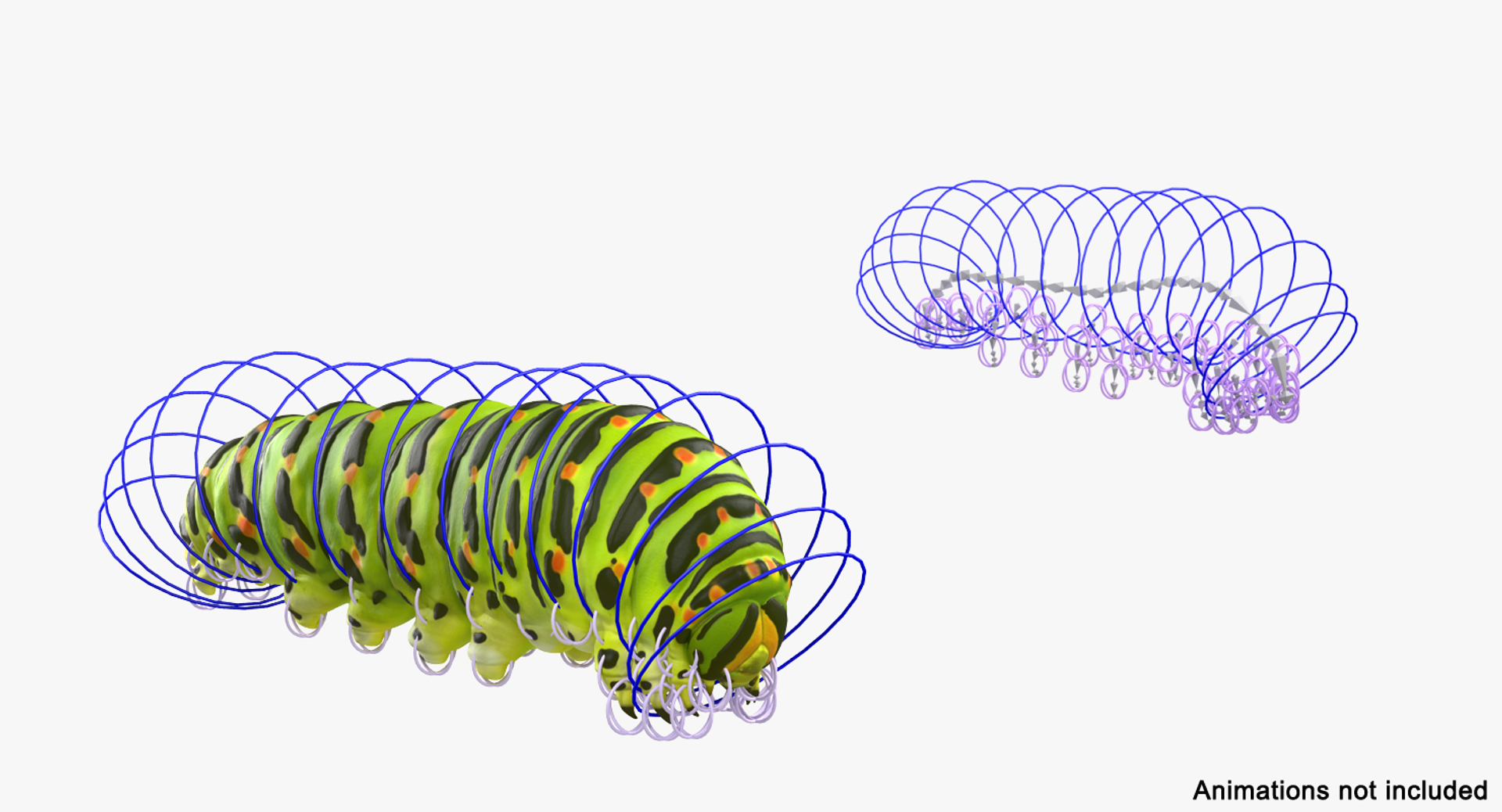 Swallowtail butterfly caterpillar rigged model - TurboSquid 1235681