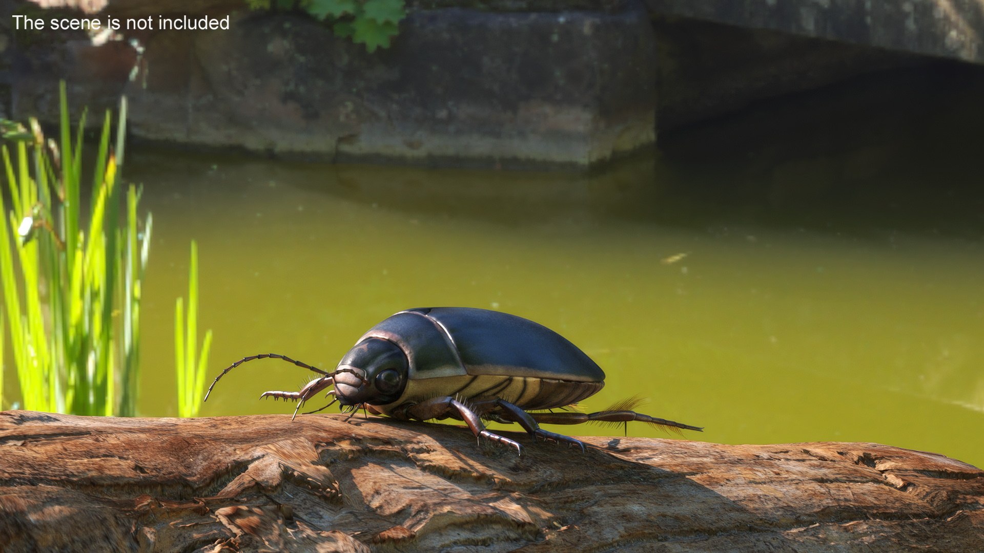 3D Screech Beetle Black Rigged For Cinema 4D - TurboSquid 2316315