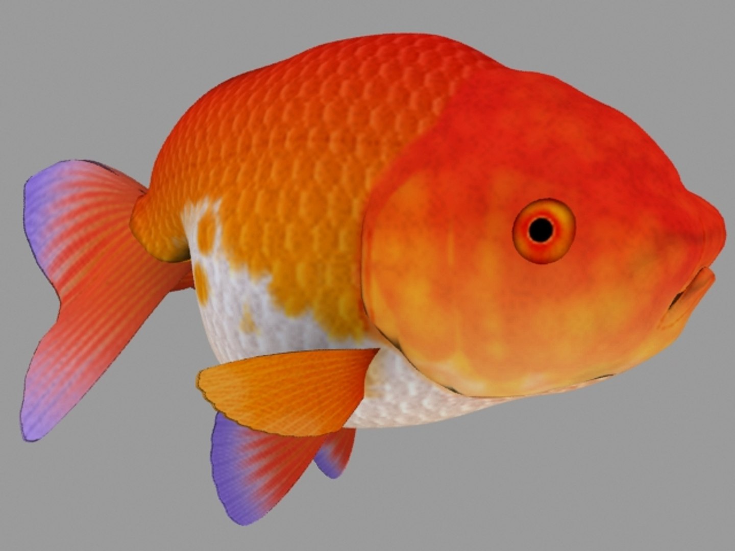 Goldfish Fish Gold 3d Model
