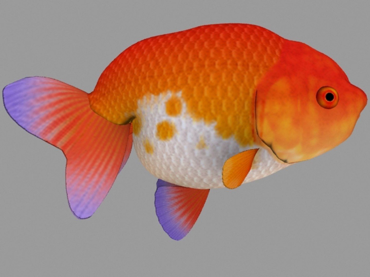 Goldfish Fish Gold 3d Model