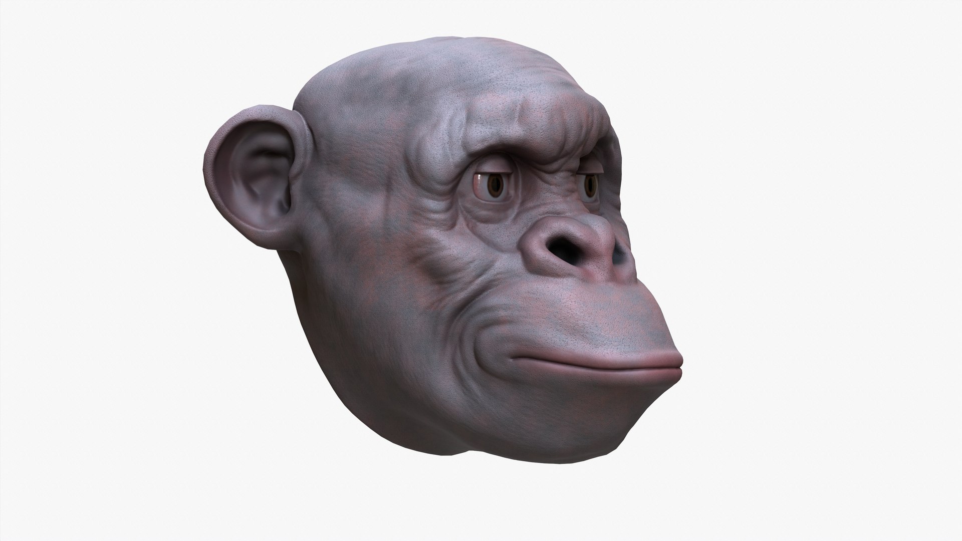 ChimpHeadNFTlowpolyfbx 3D Model - TurboSquid 1853748