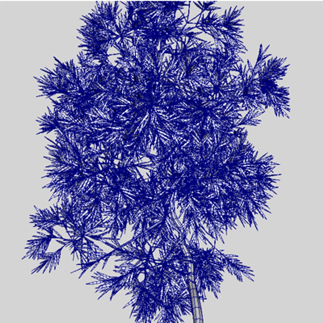 Willow Tree 3d Model