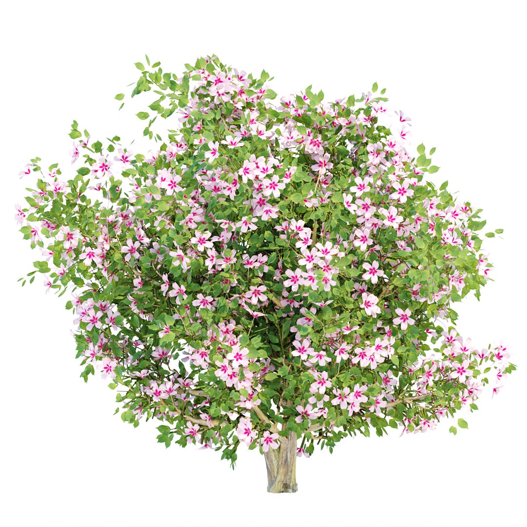 3D Flowering Bushes Collection Vol 50 - TurboSquid 1955946