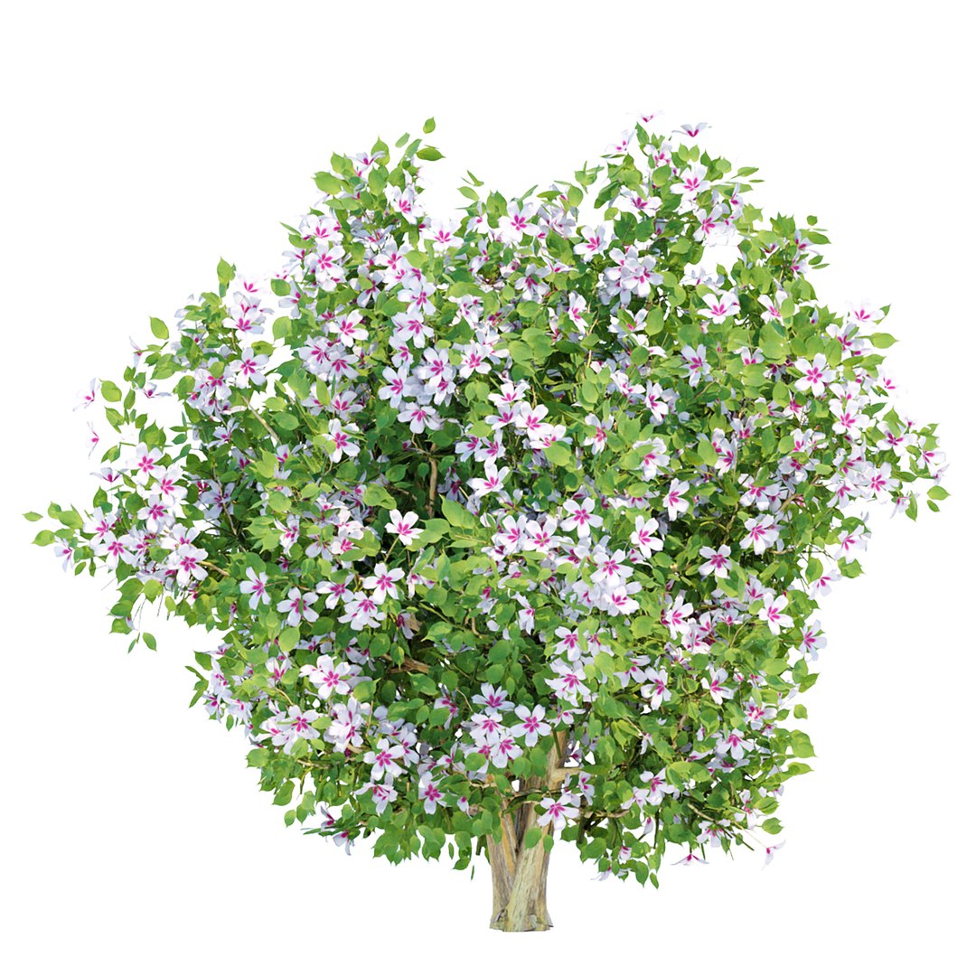 3D Flowering Bushes Collection Vol 50 - TurboSquid 1955946