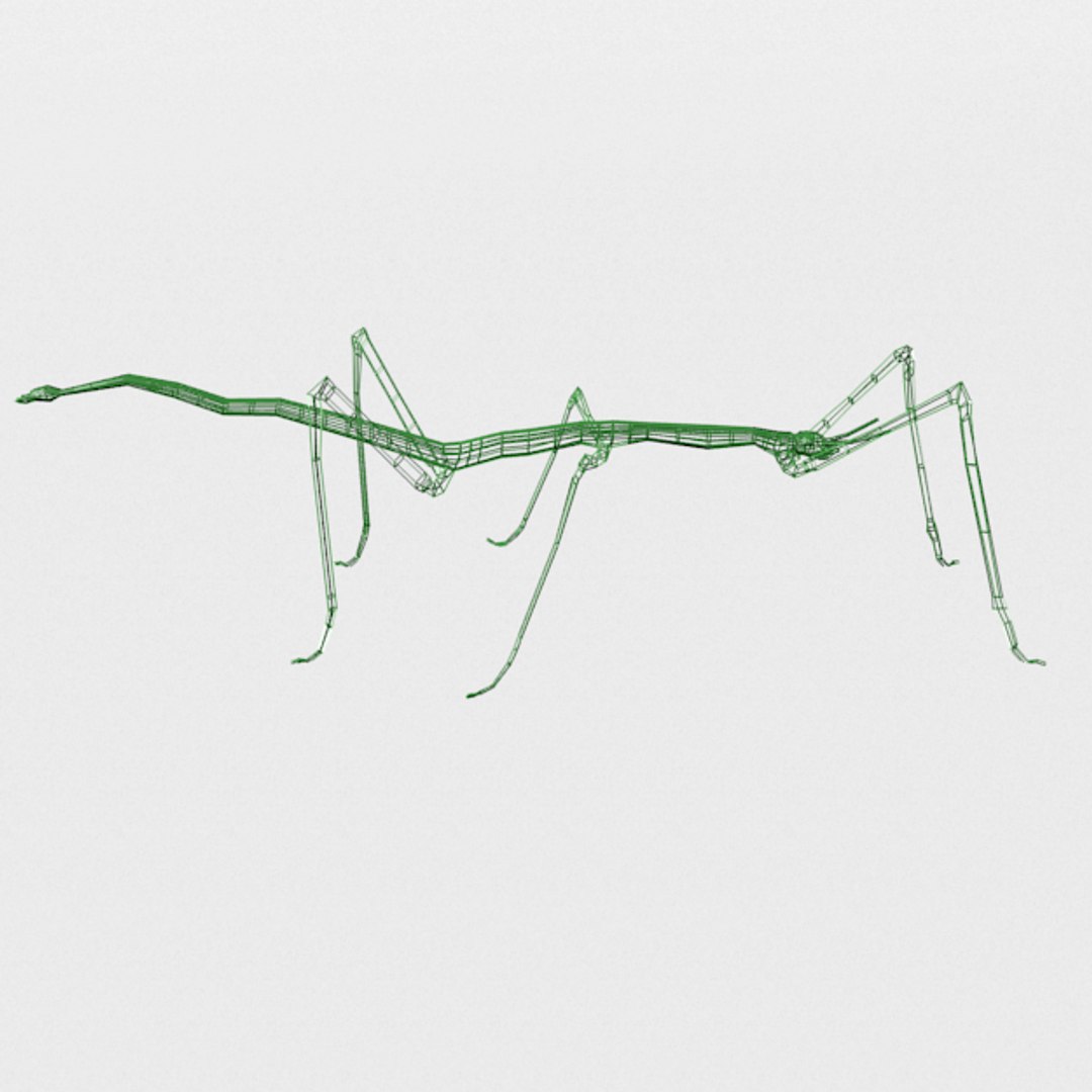 3D stick insect model - TurboSquid 1334212