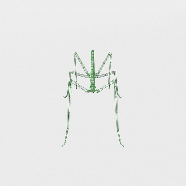 3D stick insect model - TurboSquid 1334212