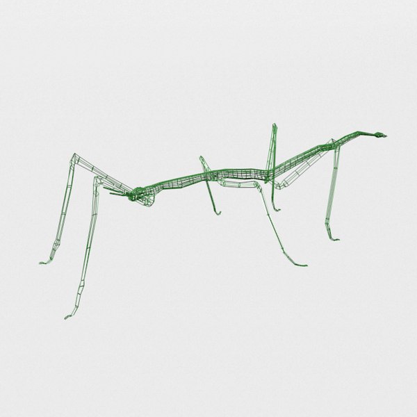 3D stick insect model - TurboSquid 1334212