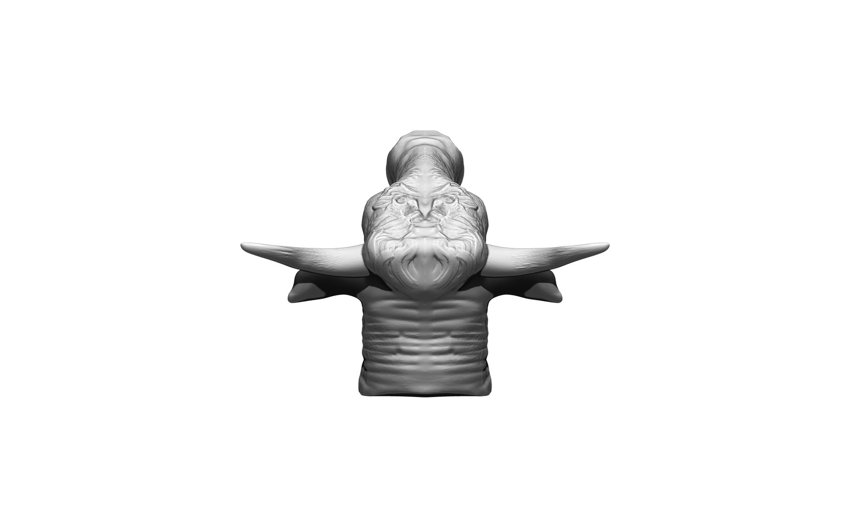 Bull Model - TurboSquid 2092684