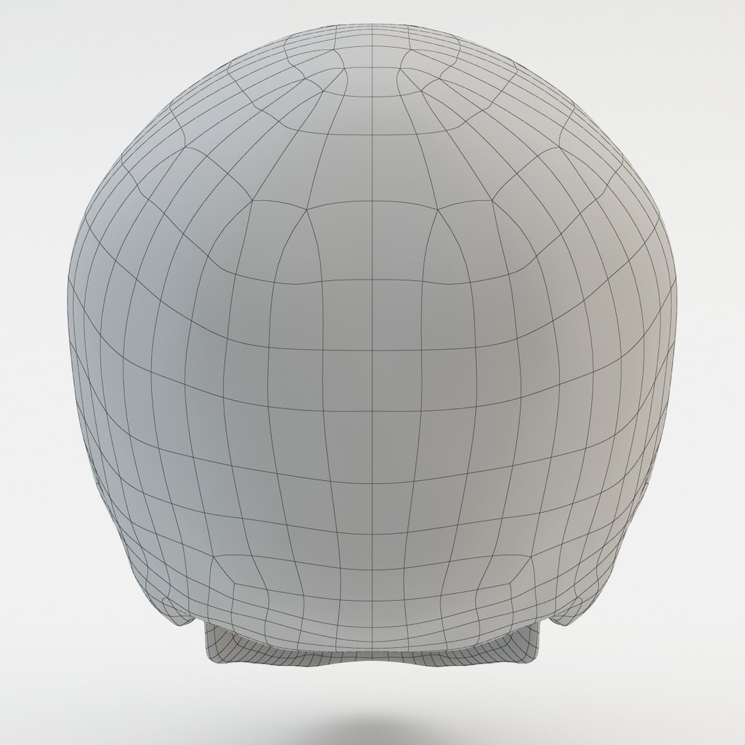 3d human skull didactic