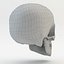 3d human skull didactic