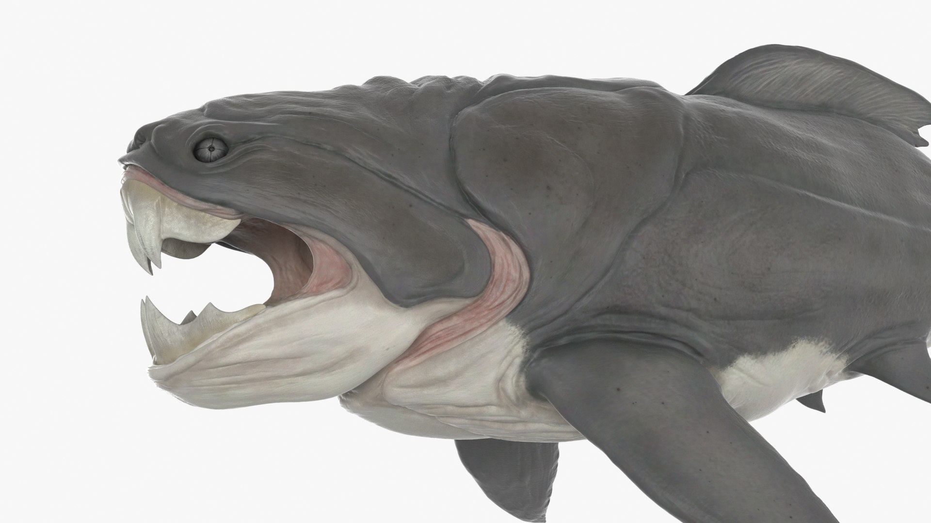 3D Model Dunkleosteus - TurboSquid 1828308