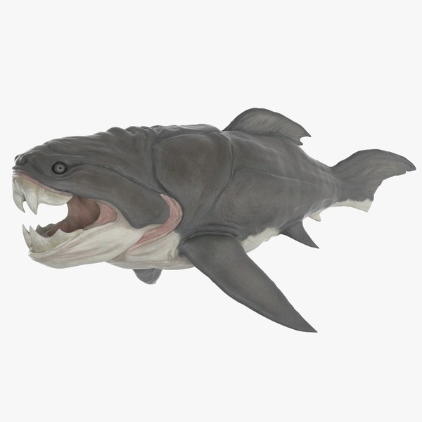 3D model Dunkleosteus - TurboSquid 1828308