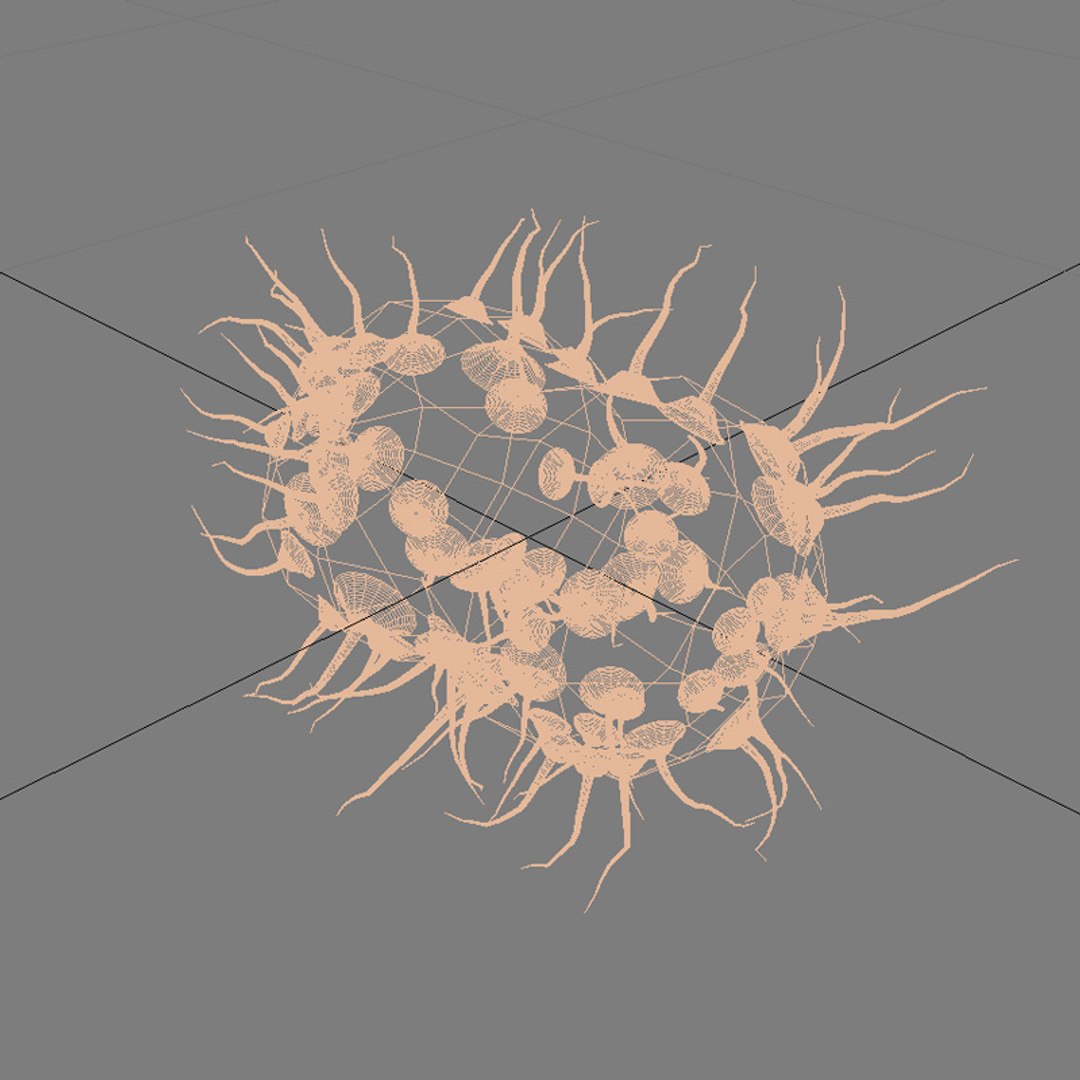 Max Microbes Micro Organisms