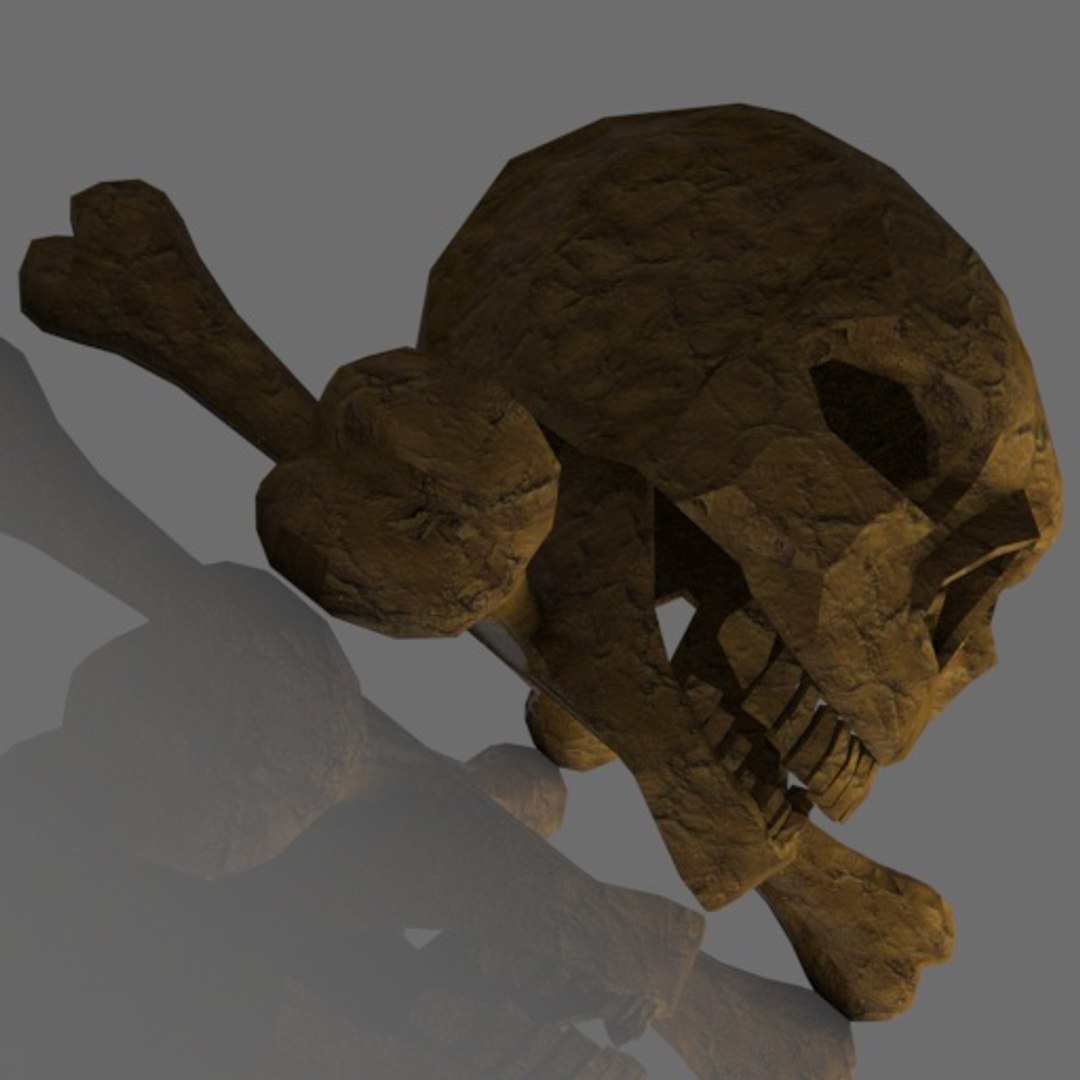 Human Skull Bones 3D Model - TurboSquid 1400983