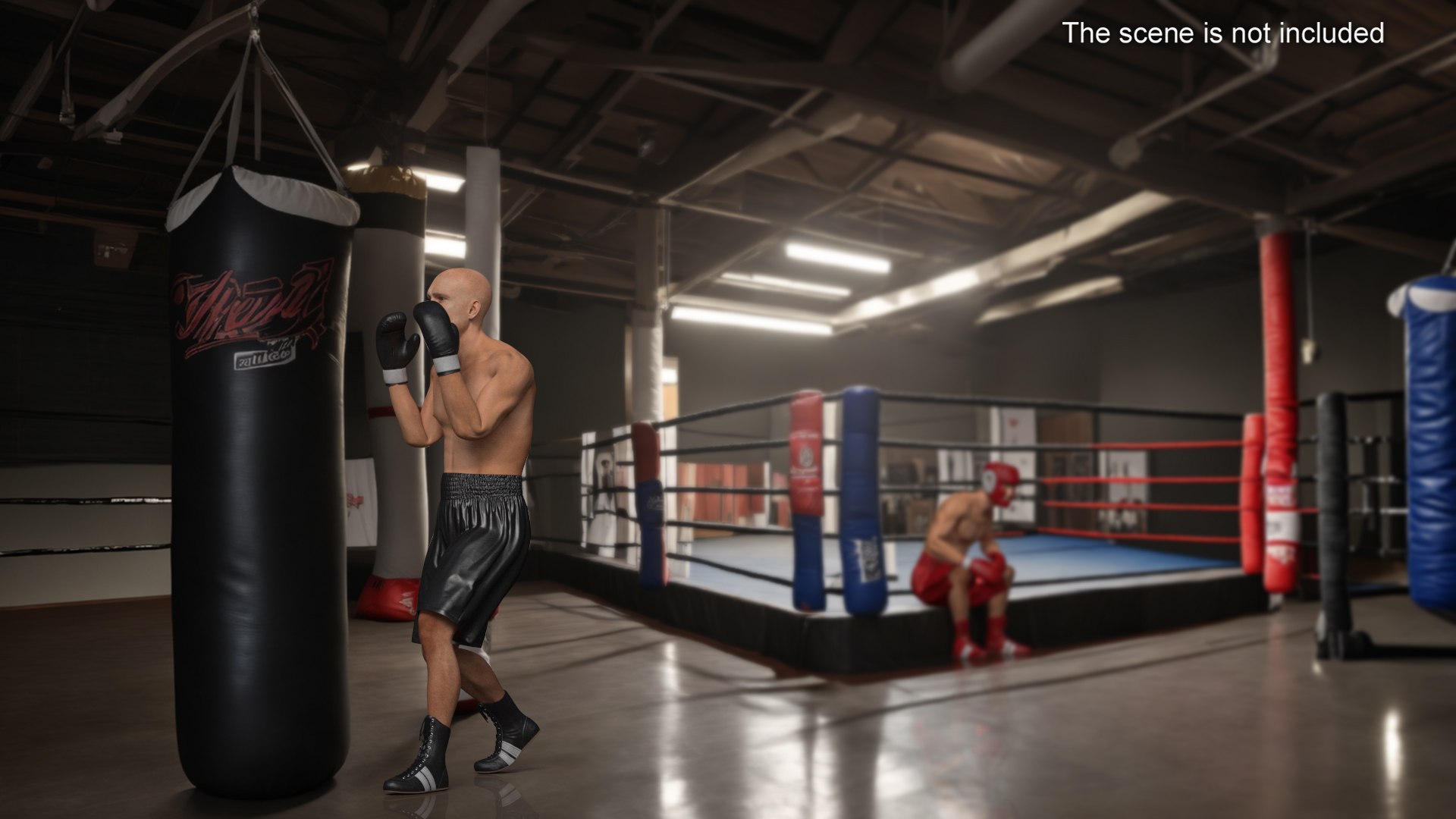 3D Male Boxer Figure Rigged For Maya - TurboSquid 2416945