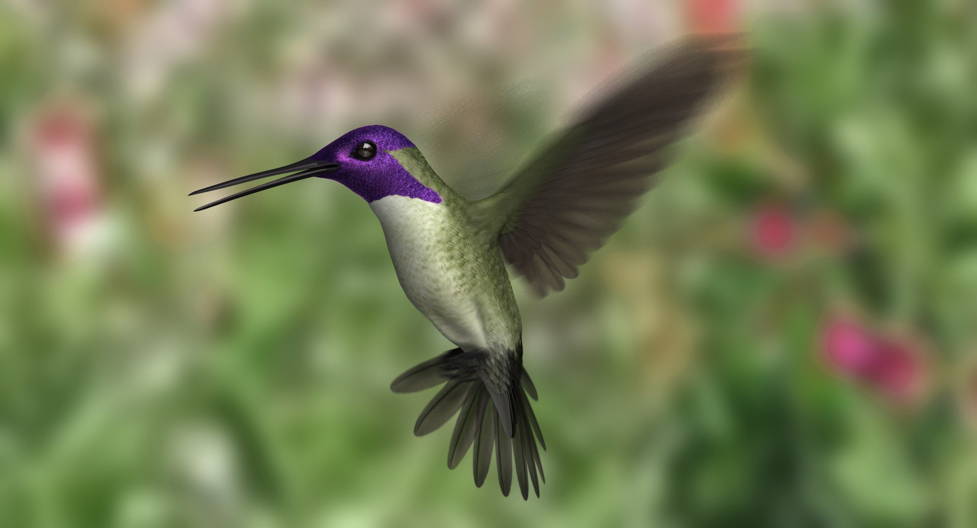 Costa S Hummingbird Animation 3D Model - TurboSquid 1454720