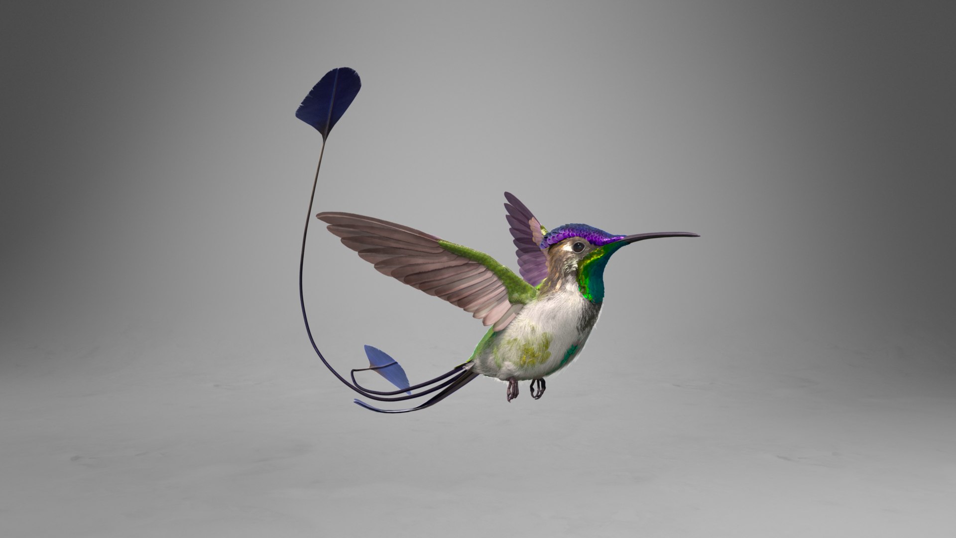 Hummingbird Animation VFX Grace 3D - TurboSquid 2133472