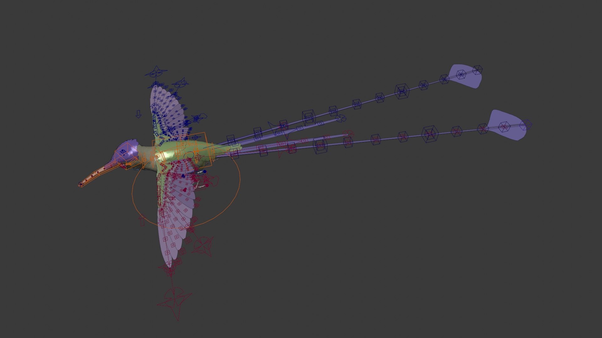 Hummingbird Animation VFX Grace 3D - TurboSquid 2133472