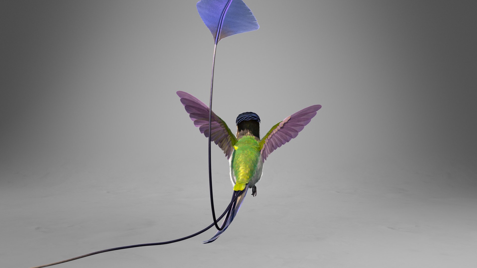 Hummingbird Animation VFX Grace 3D - TurboSquid 2133472