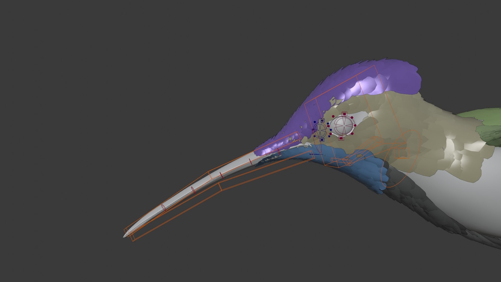 Hummingbird Animation VFX Grace 3D - TurboSquid 2133472