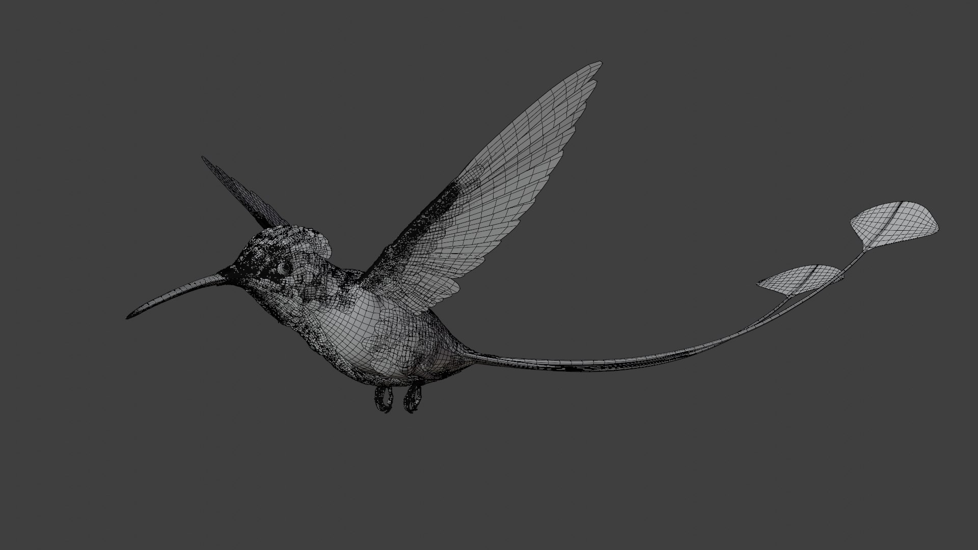Hummingbird Animation VFX Grace 3D - TurboSquid 2133472