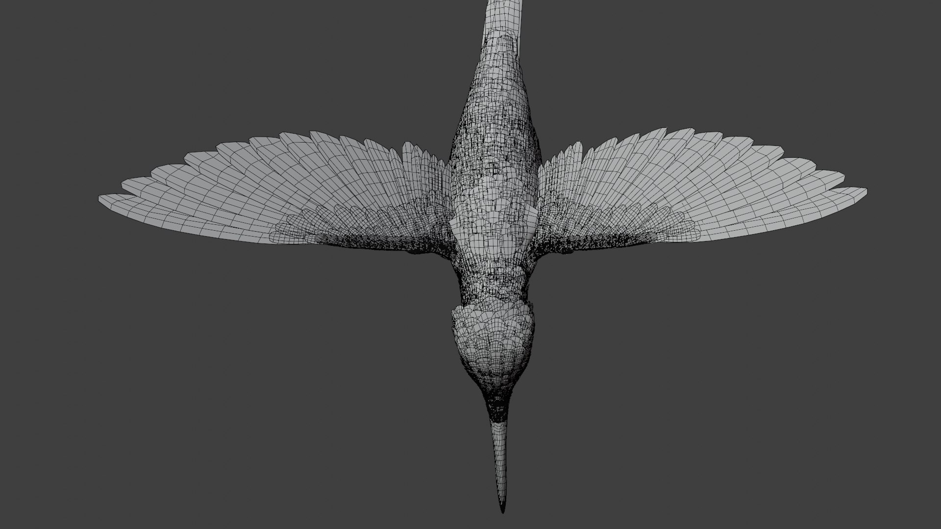 Hummingbird Animation VFX Grace 3D - TurboSquid 2133472