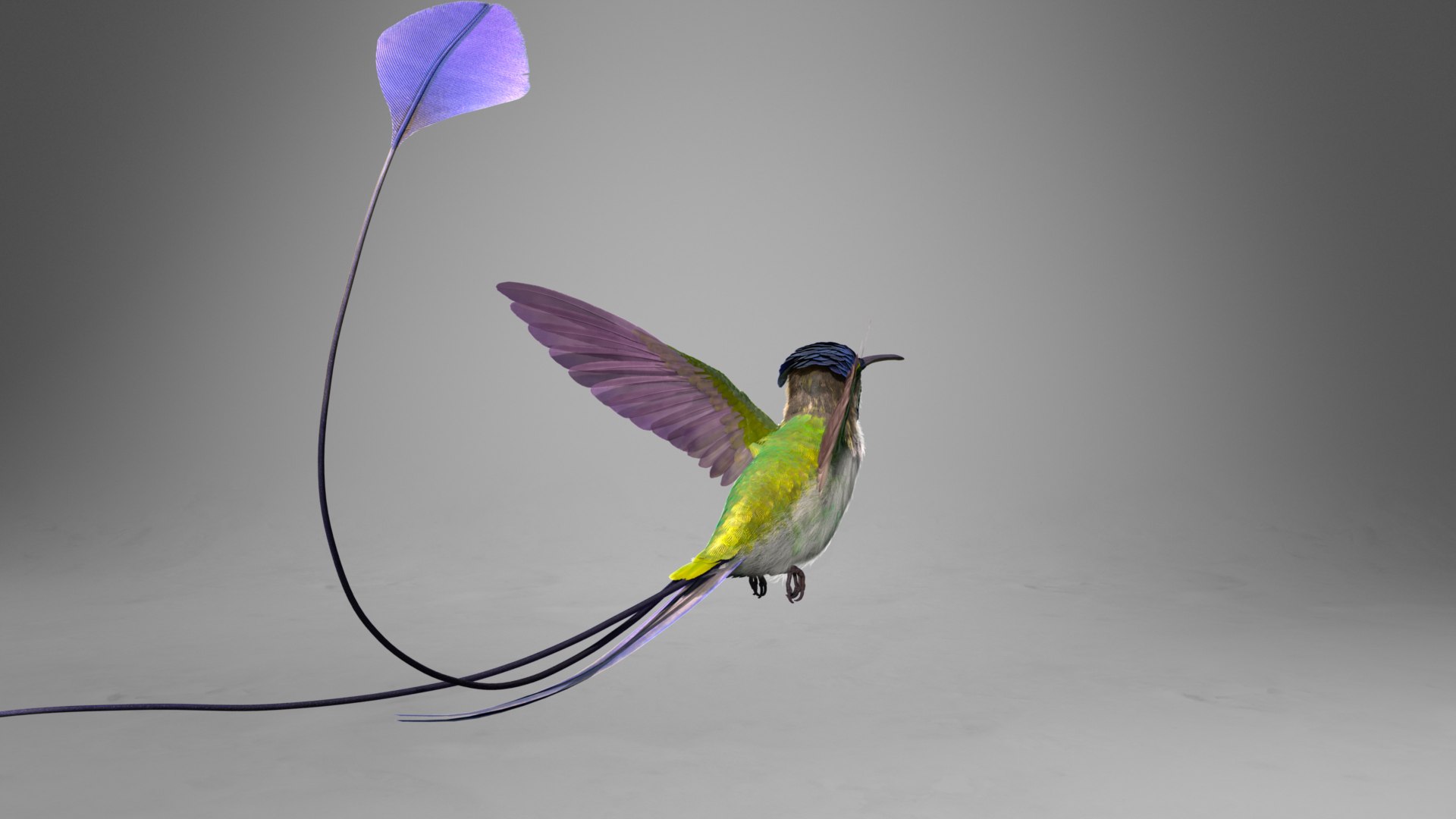 Hummingbird Animation VFX Grace 3D - TurboSquid 2133472