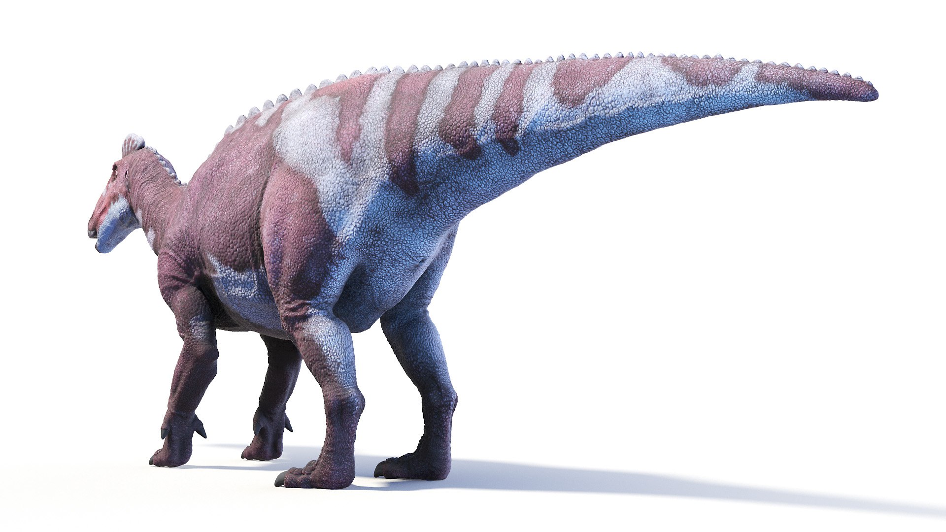 Edmontosaurus Static 3D Model - TurboSquid 1898702