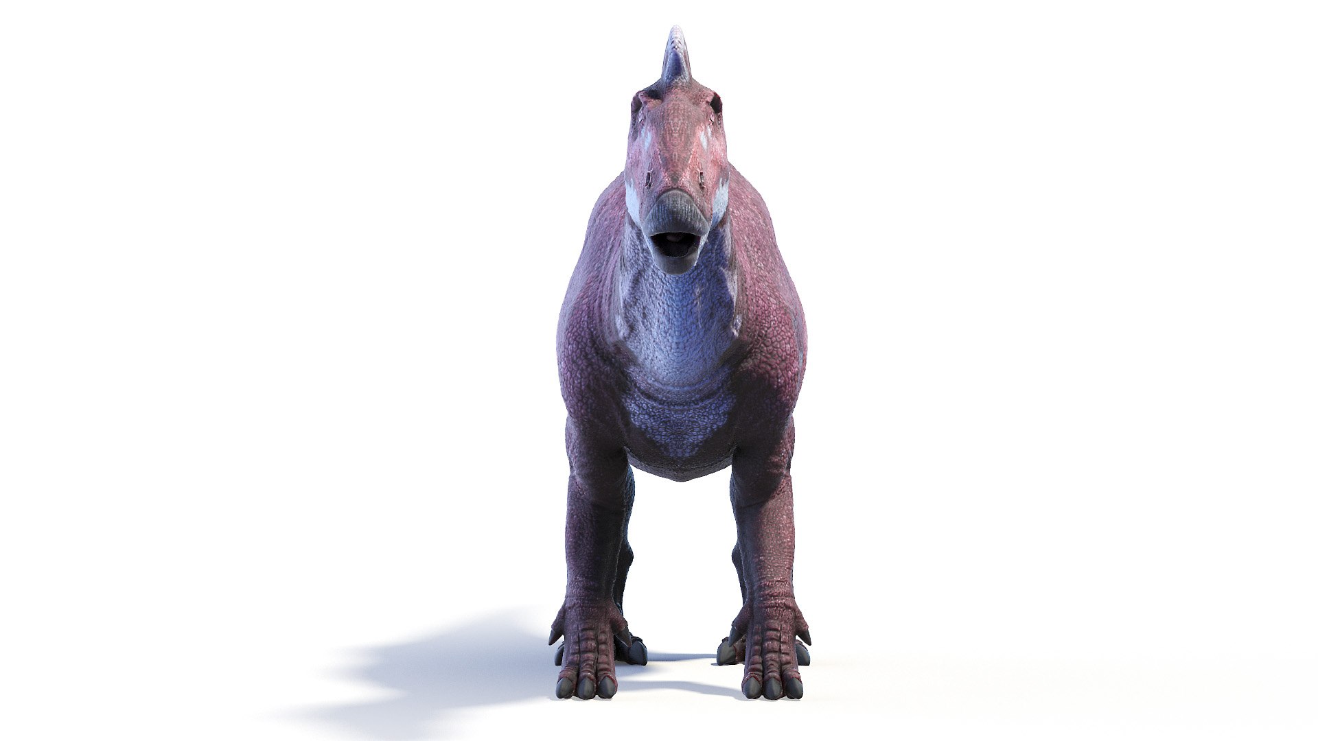 Edmontosaurus Static 3D Model - TurboSquid 1898702