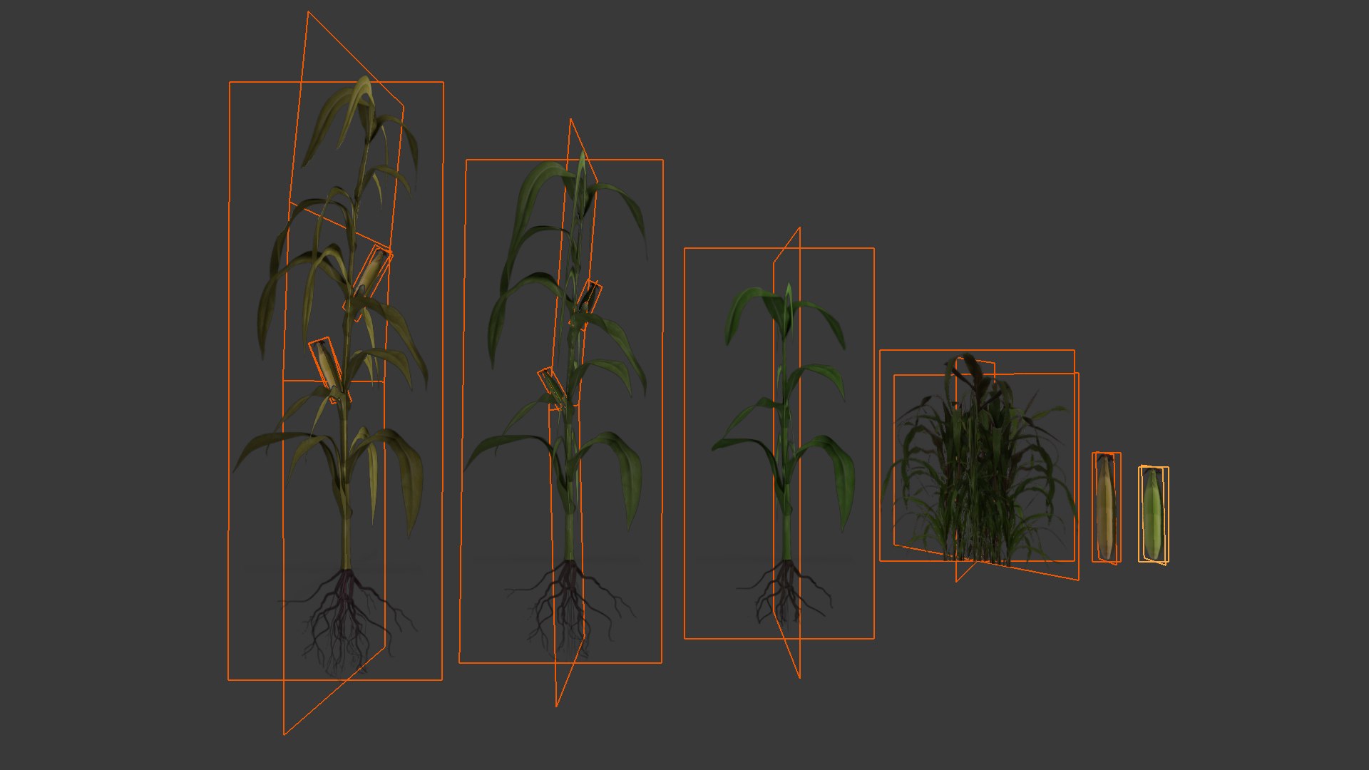 Maize Corn Plant Set 3D Model - TurboSquid 1363191