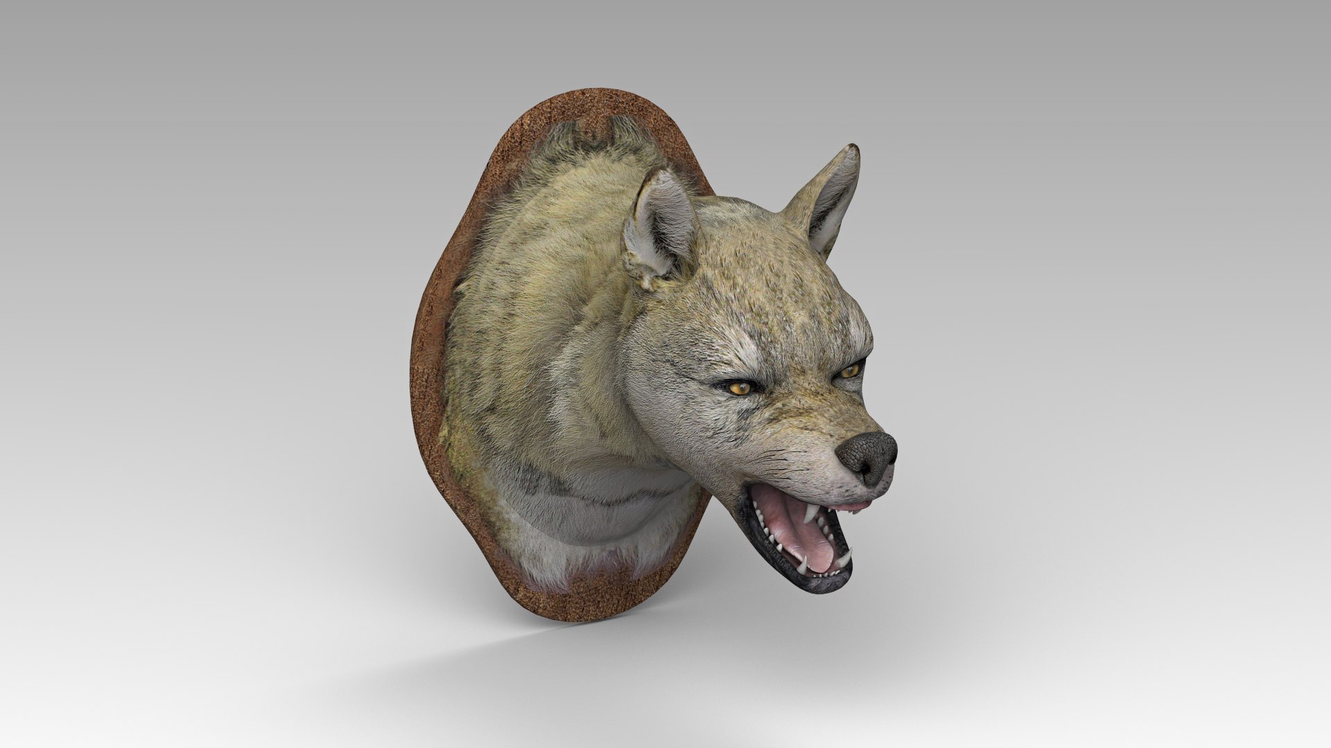 3D Head Wolf Model - TurboSquid 1847156