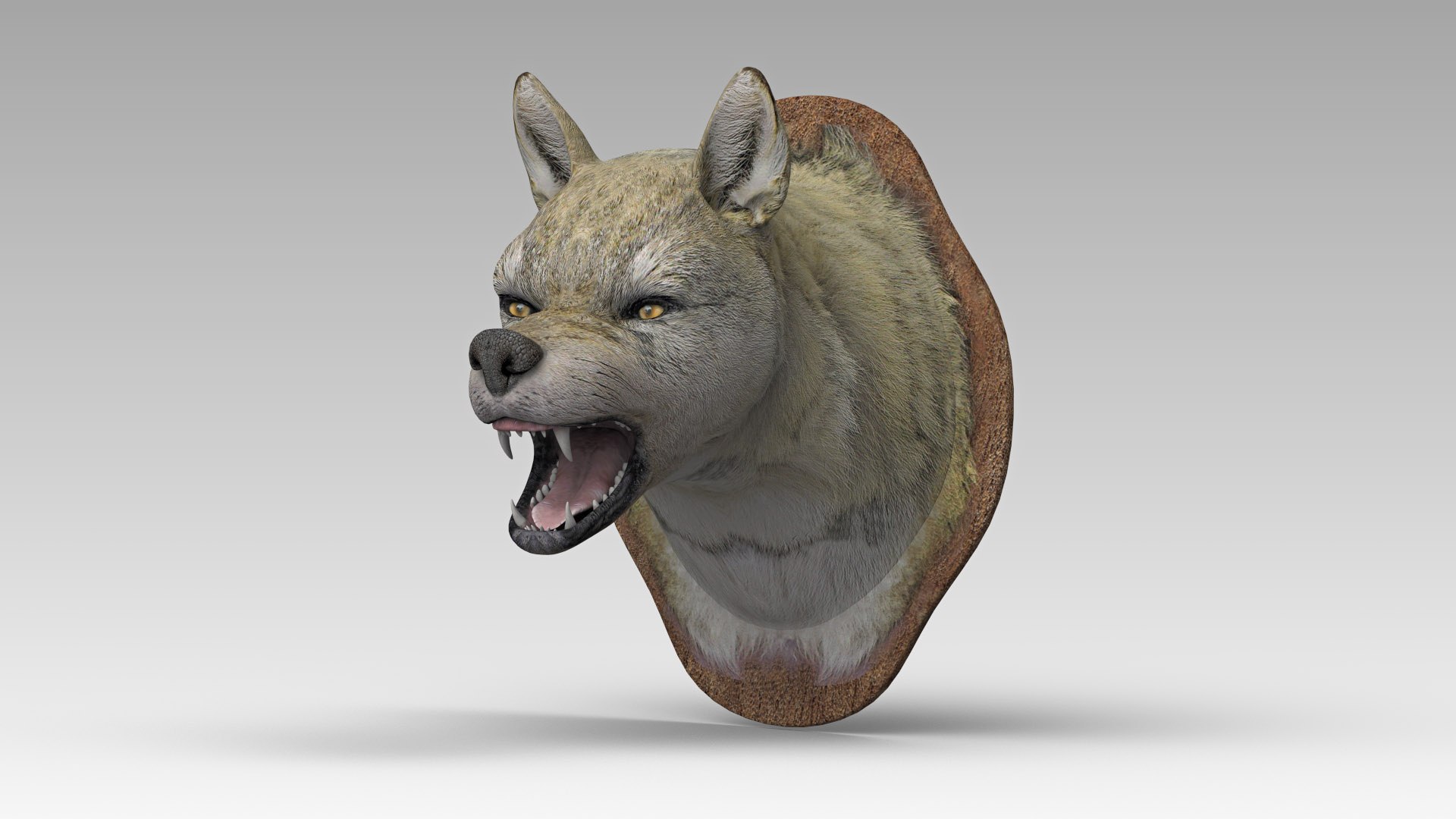 3D Head Wolf Model - TurboSquid 1847156