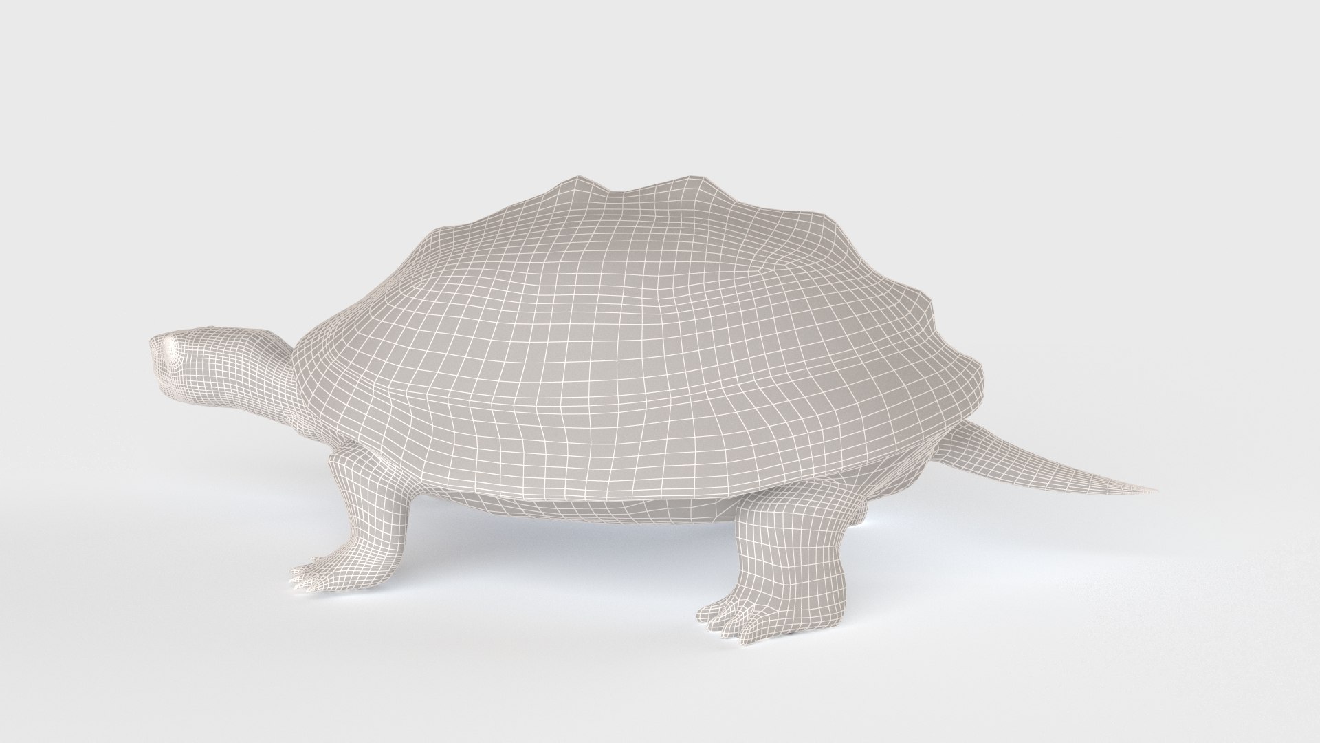 Turtle Model - TurboSquid 1834853