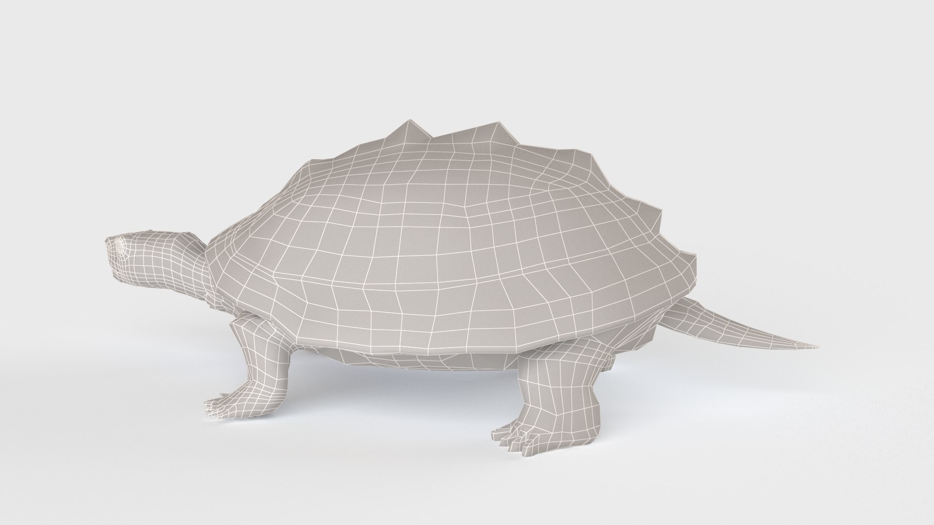 Turtle Model - TurboSquid 1834853