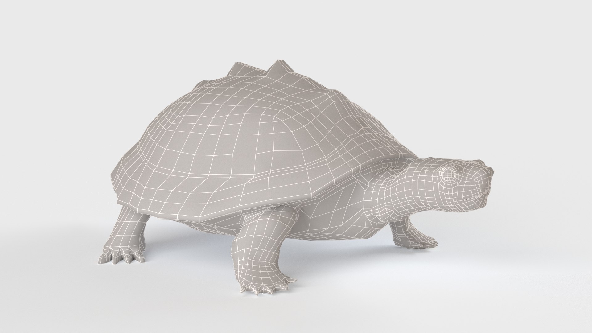 Turtle Model - TurboSquid 1834853