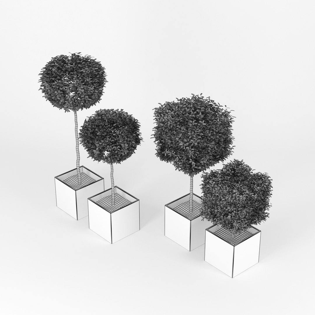 3D plant box - TurboSquid 1266671