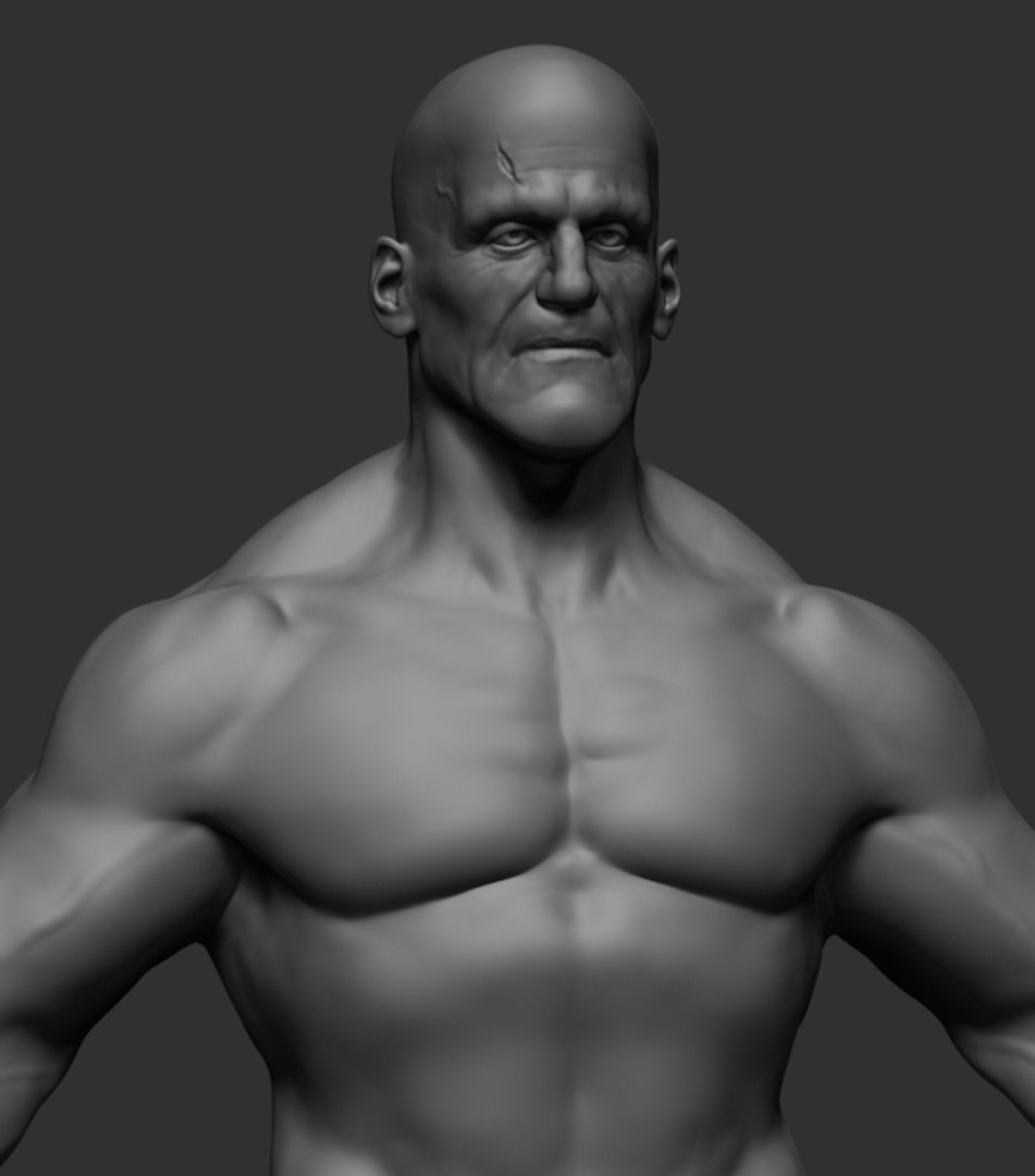 Character Reference Ztl 3D Model - TurboSquid 1301052